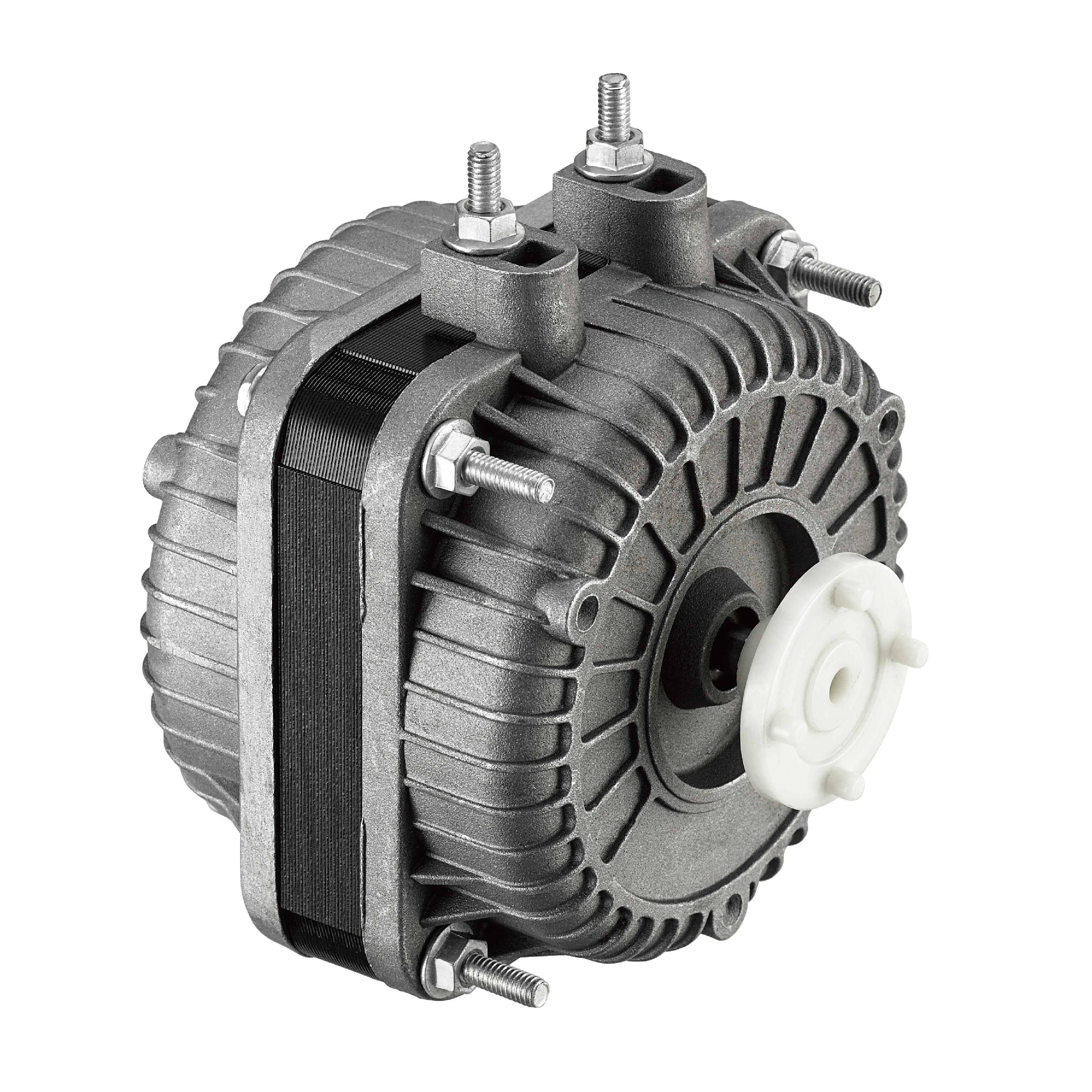 82 Motor Series & Showcase - Lepu Motor